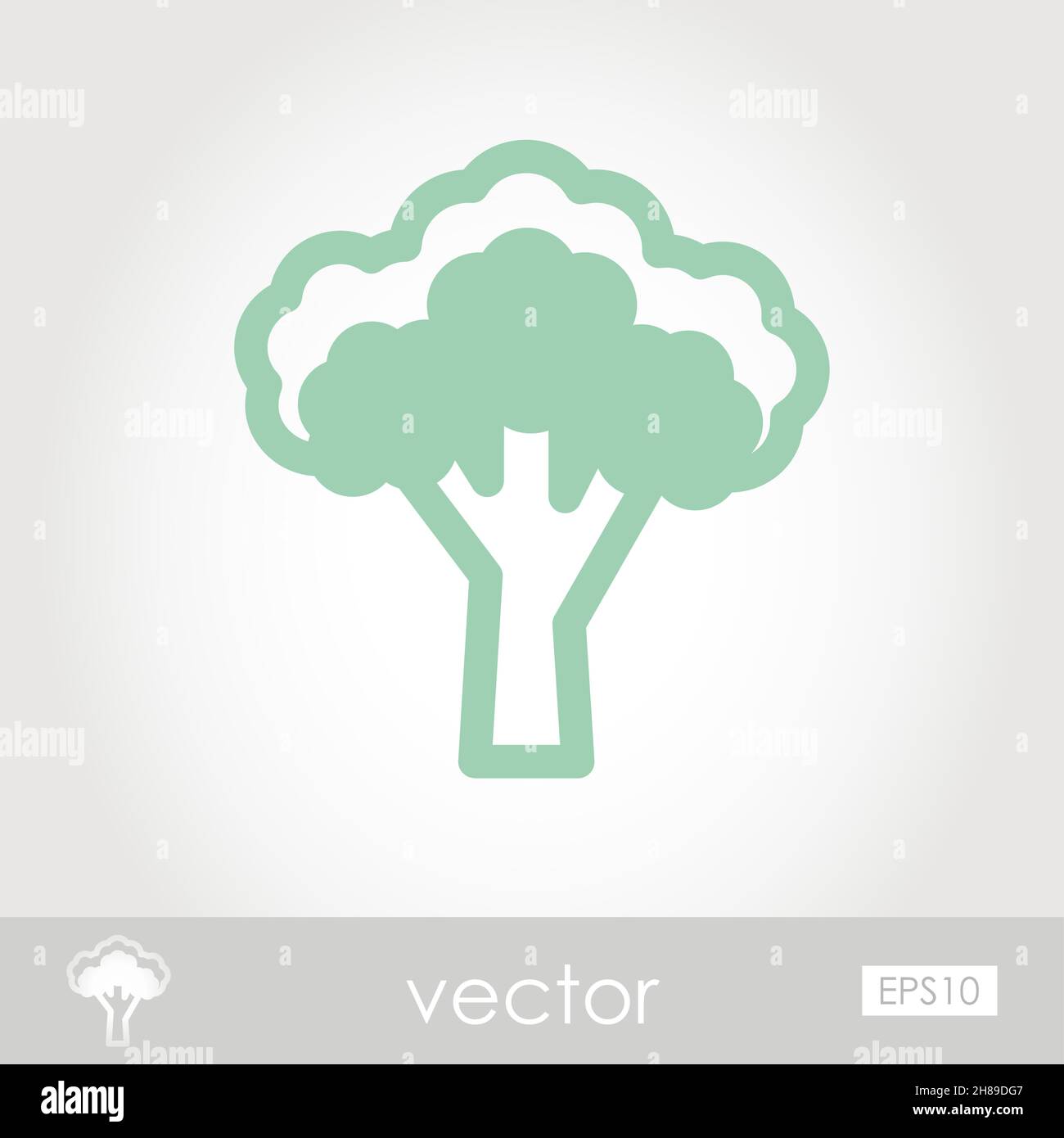 Broccoli outline icon. Vegetable vector illustration eps 10 Stock ...