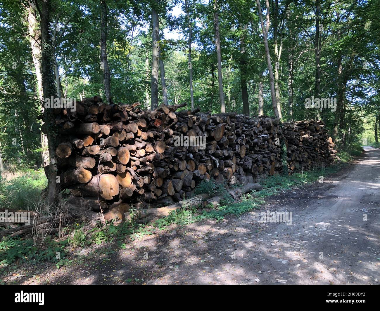 Operation pathway hi-res stock photography and images - Alamy