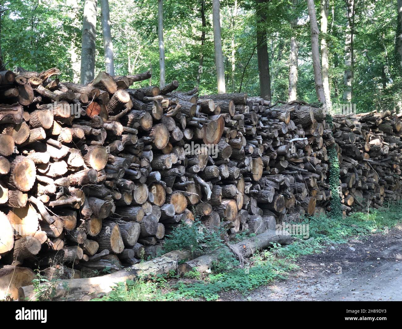 Operation pathway hi-res stock photography and images - Alamy