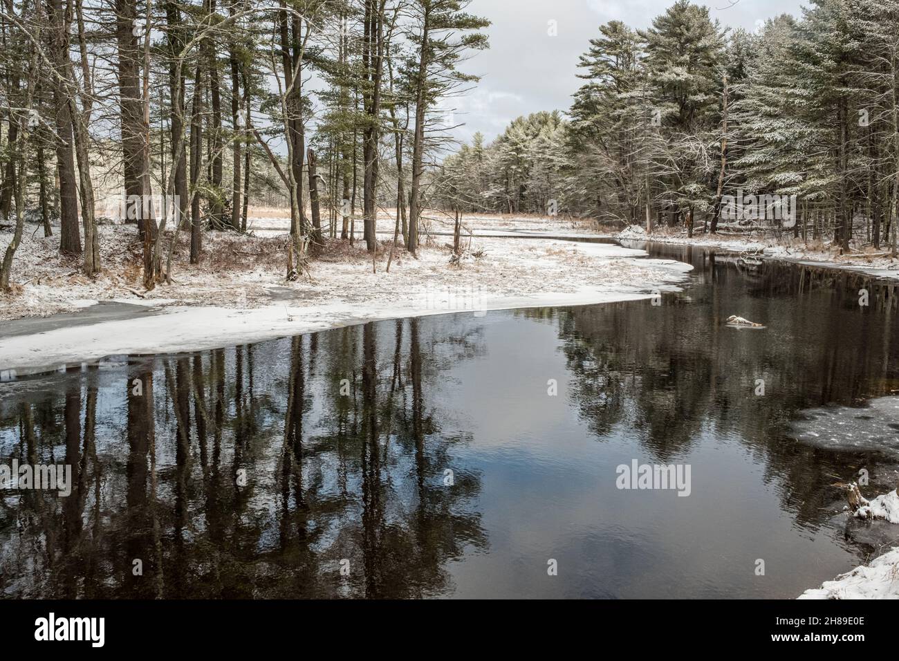 The East Branch of the Swift River in Petersham, MA Stock Photo - Alamy