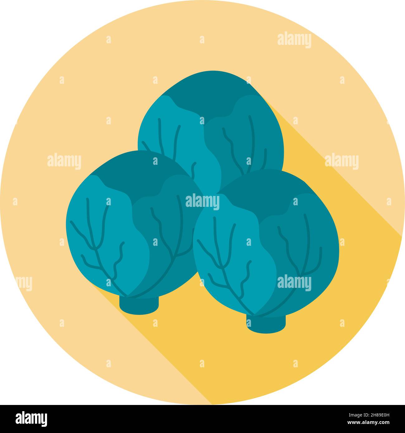 Brussels sprouts flat icon. Vegetable vector illustration Stock Vector Image & Art - Alamy