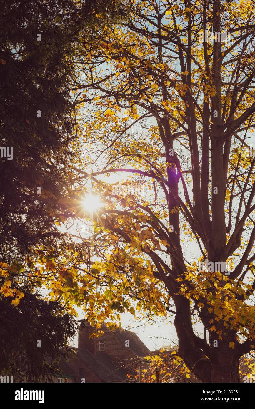 Fall moring hi-res stock photography and images - Alamy