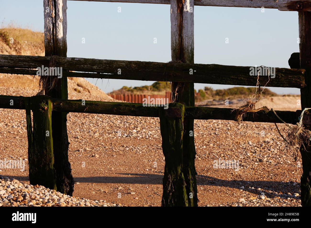 Old wooden structures seen in Pagham Harbour Nature Reserve as remnants ...