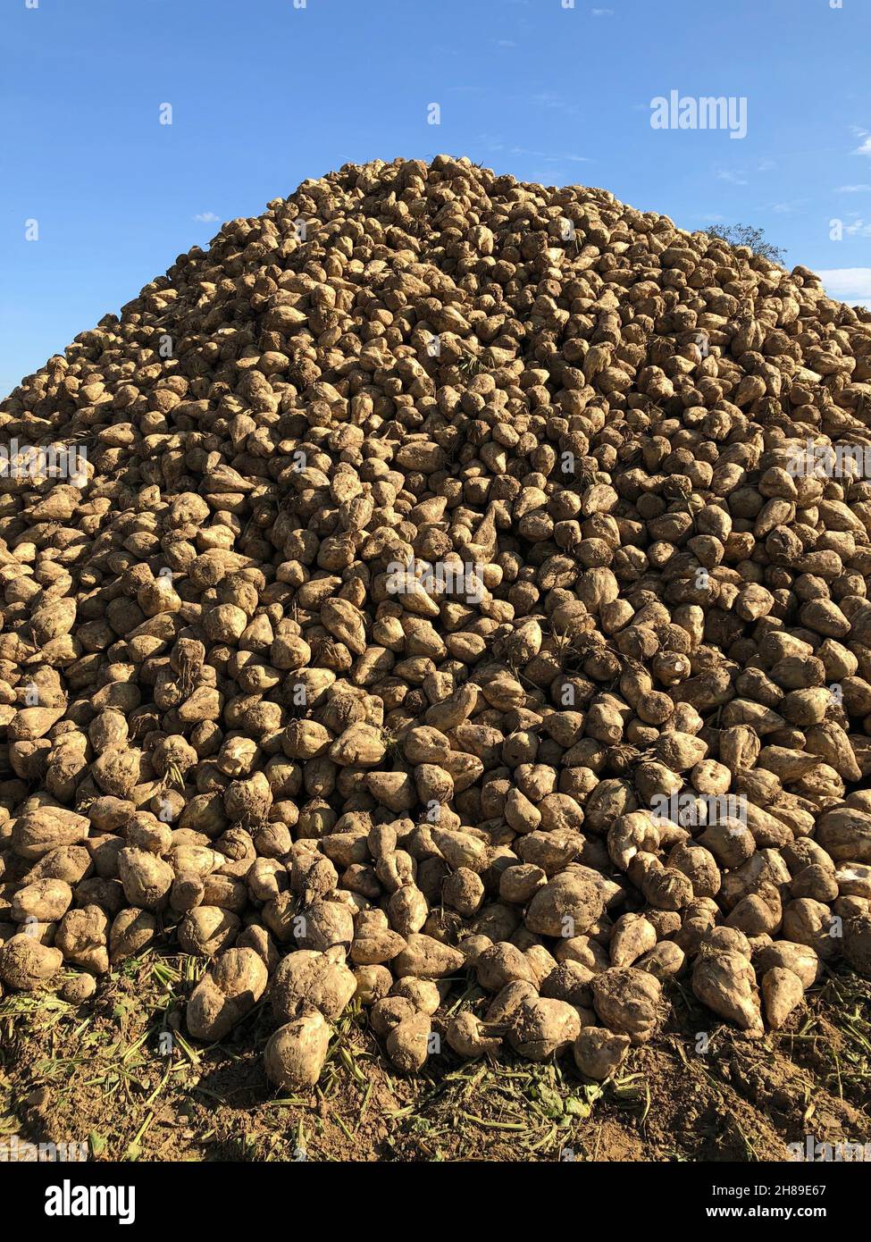 Picardy scenery hi-res stock photography and images - Alamy