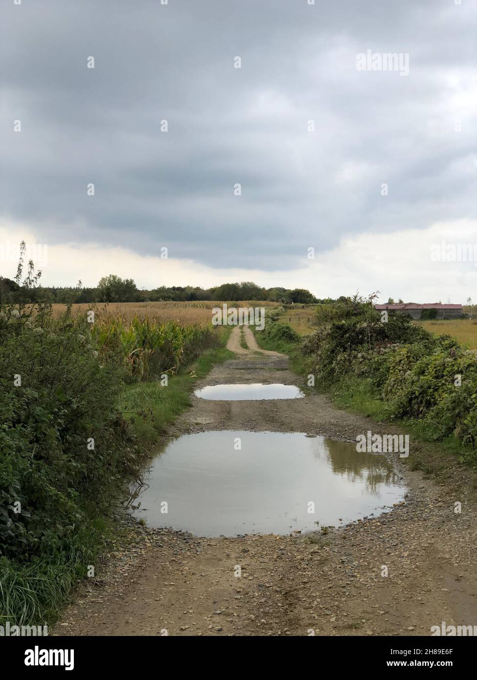 Flooded agricultural road Stock Photo - Alamy
