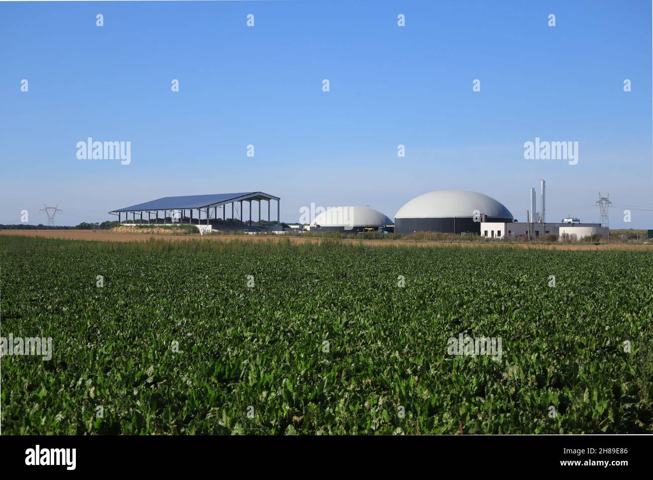 Anaerobic digestion plants Stock Photo - Alamy