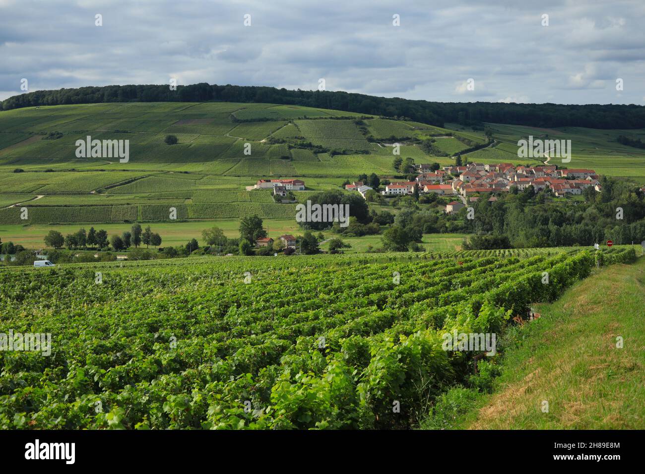 Champagne mountain hi-res stock photography and images - Alamy