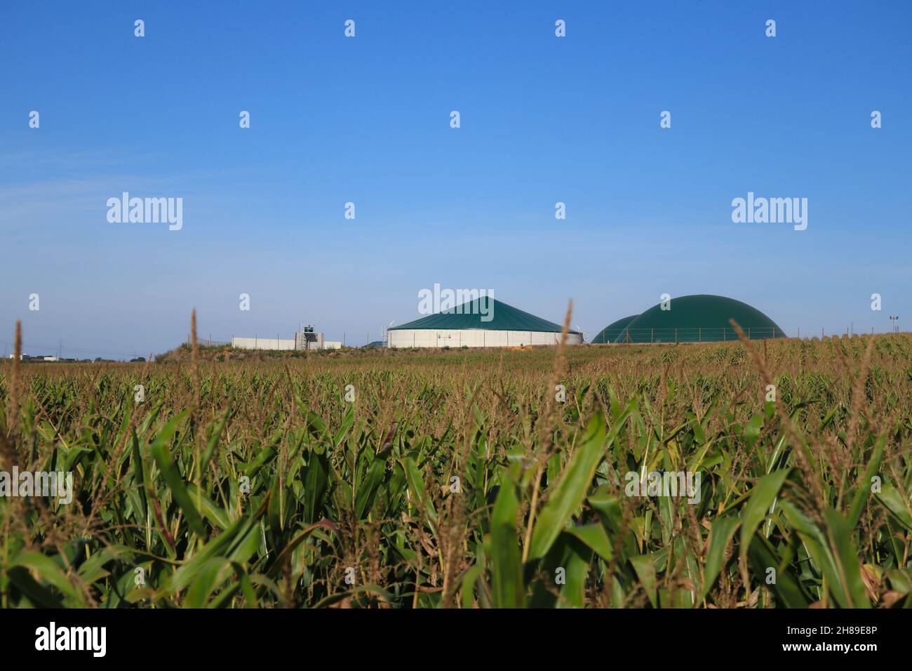 Anaerobic digestion plants Stock Photo - Alamy