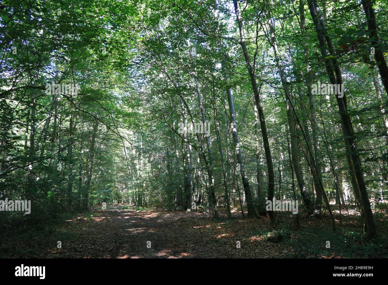 Picardy oise hi-res stock photography and images - Alamy