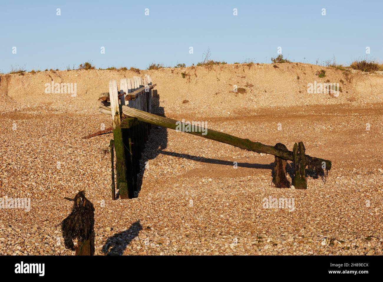 Old wooden structures seen in Pagham Harbour Nature Reserve as remnants ...