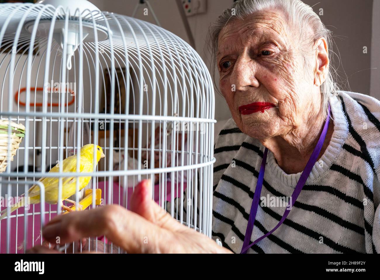 The birds centenary hi-res stock photography and images - Alamy