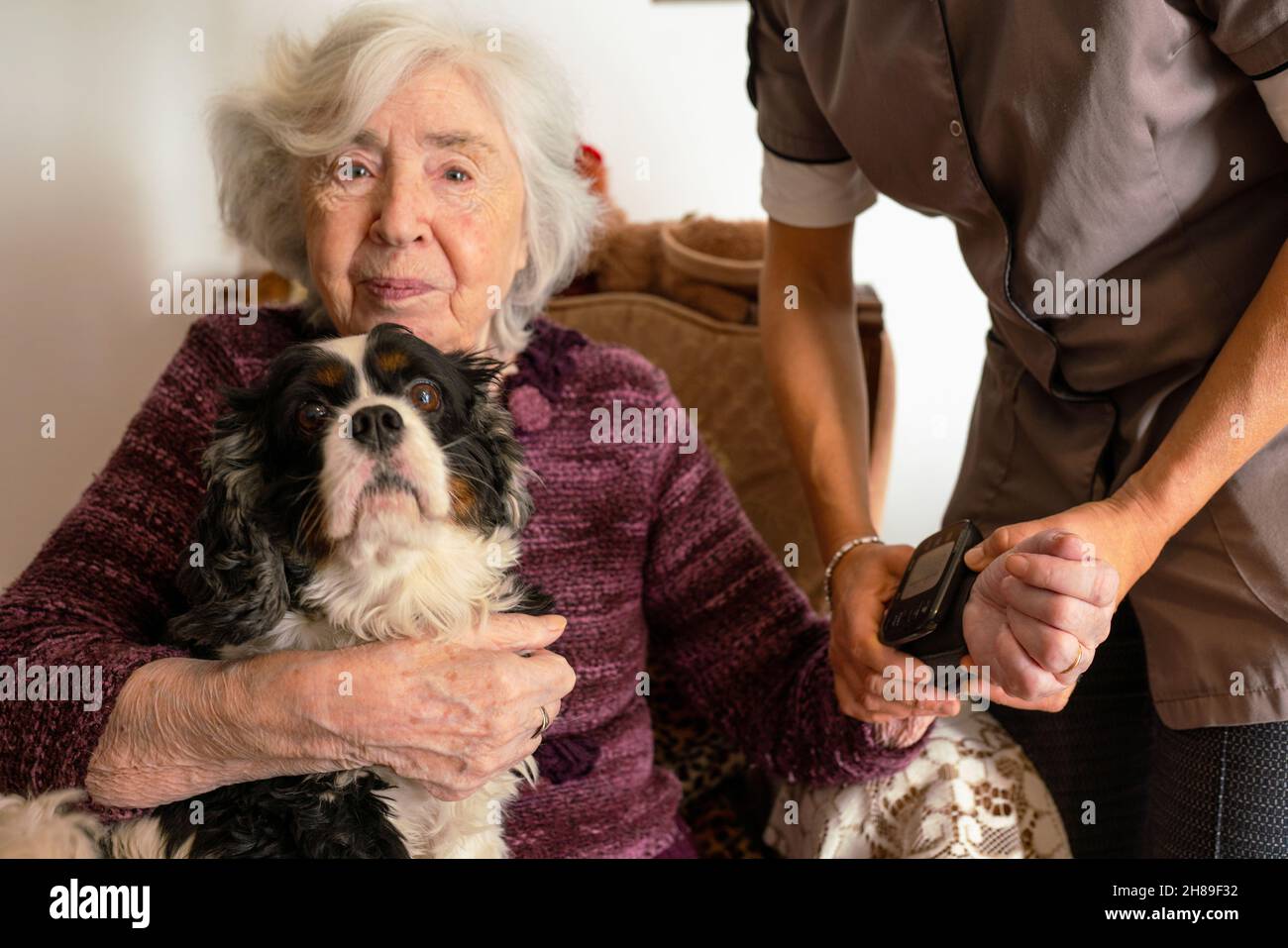 Octogenarian with his dog Stock Photo - Alamy