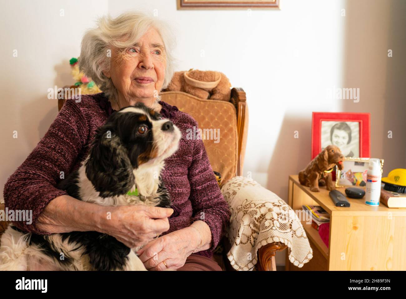 Octogenarian with his dog Stock Photo - Alamy
