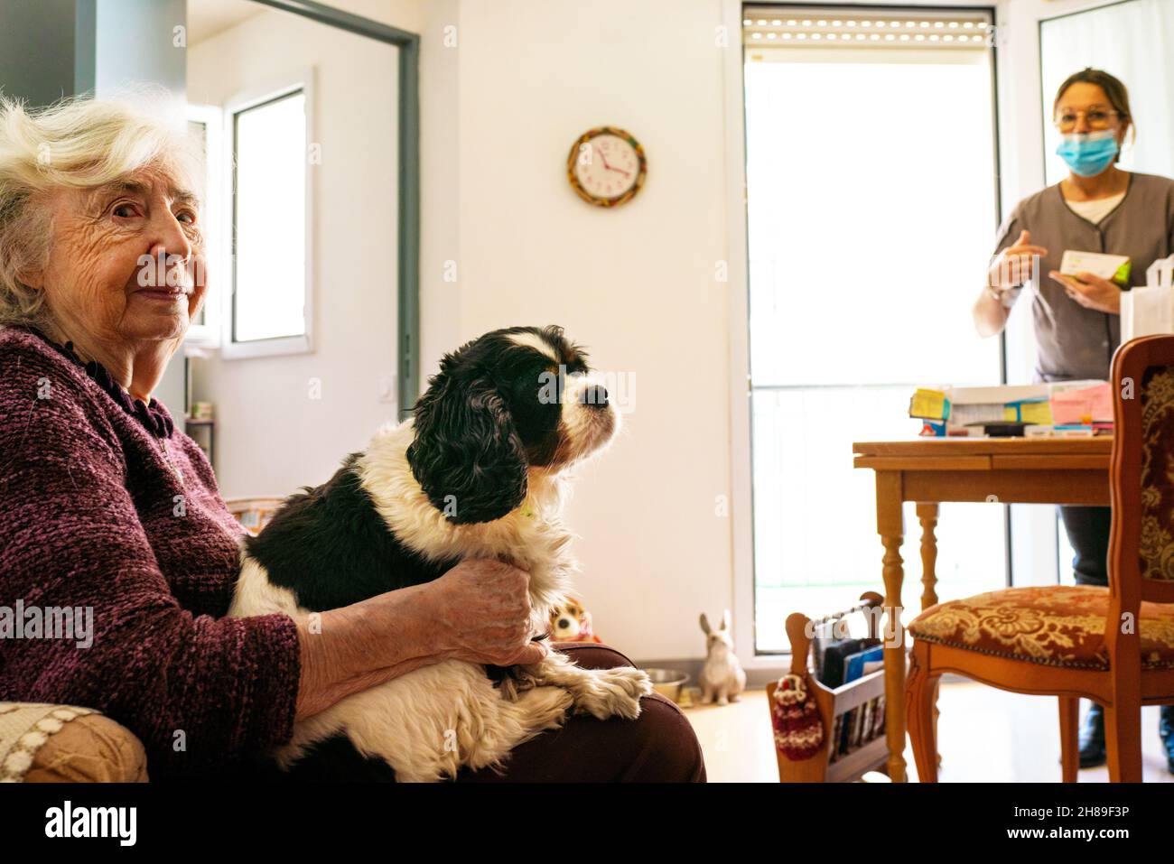 Octogenarian with his dog Stock Photo - Alamy