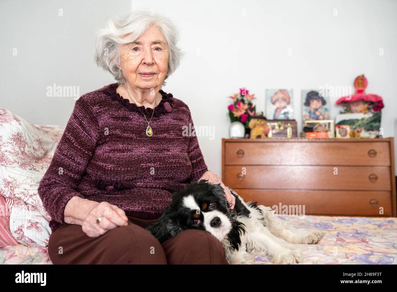 Octogenarian with his dog Stock Photo - Alamy