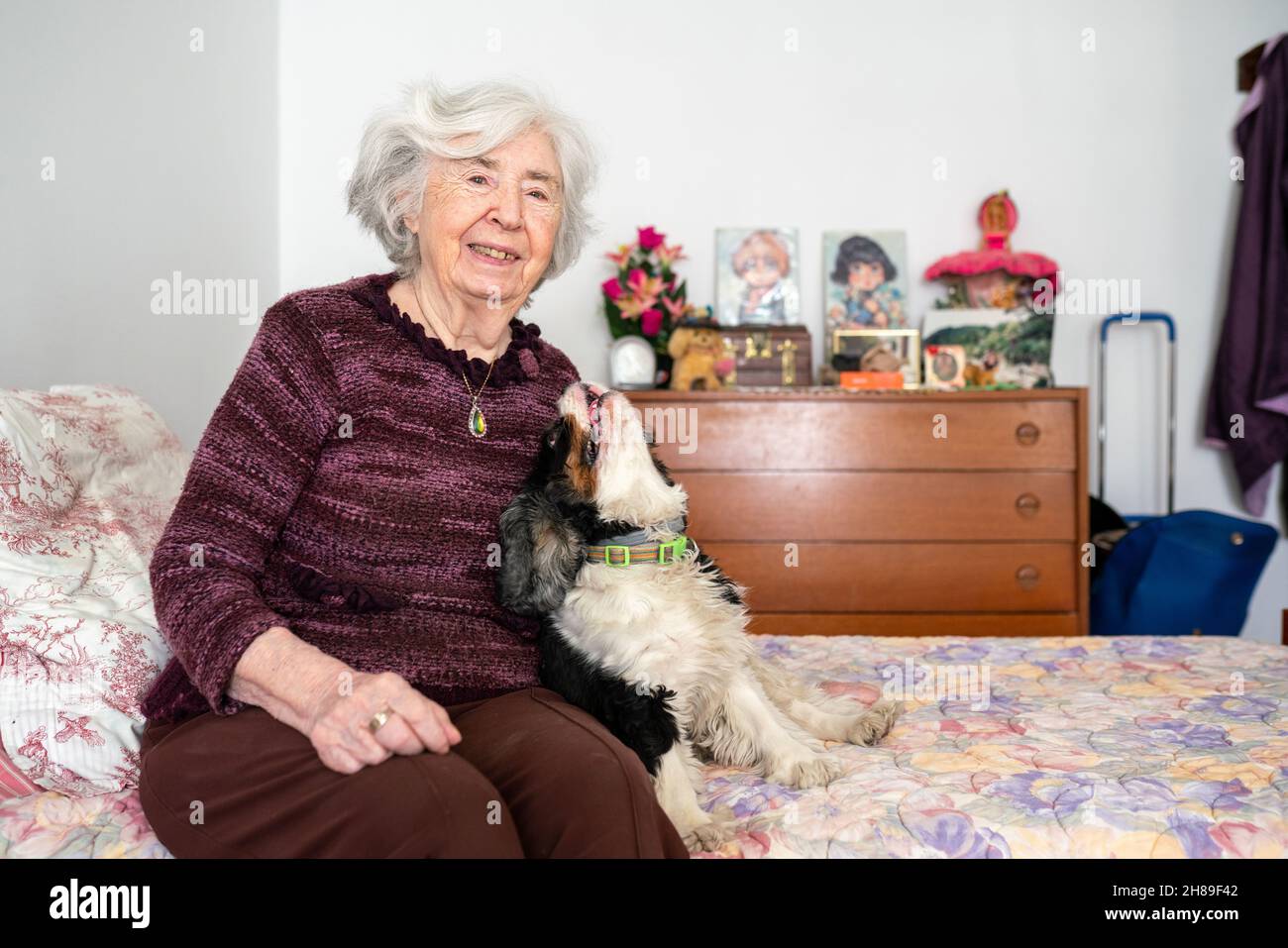 Octogenarian with his dog Stock Photo - Alamy