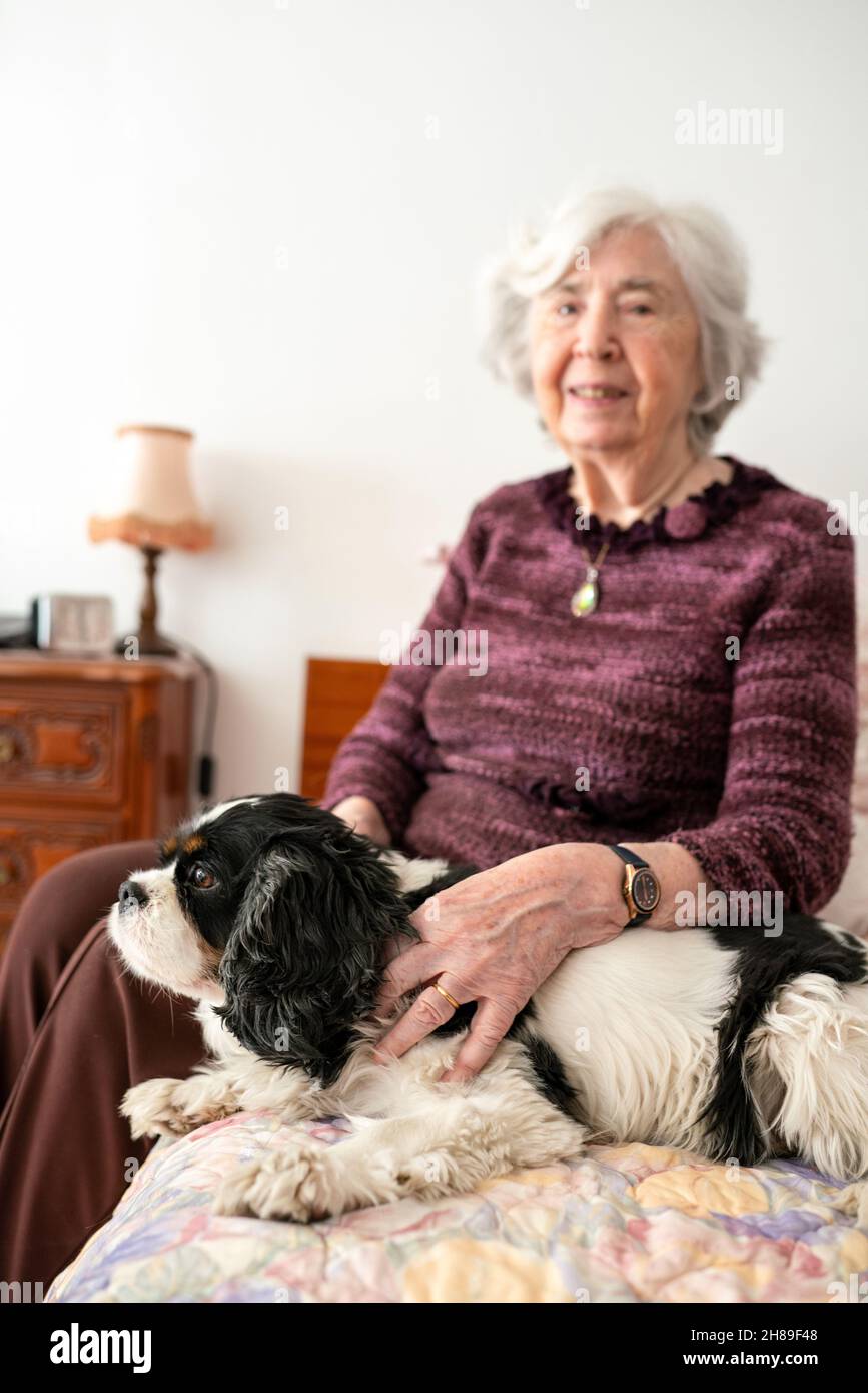 Octogenarian with his dog Stock Photo - Alamy