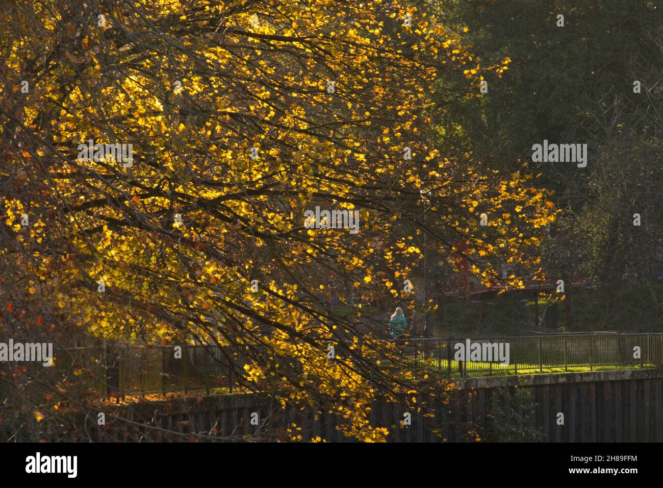 Figure partially obscured hi-res stock photography and images - Alamy