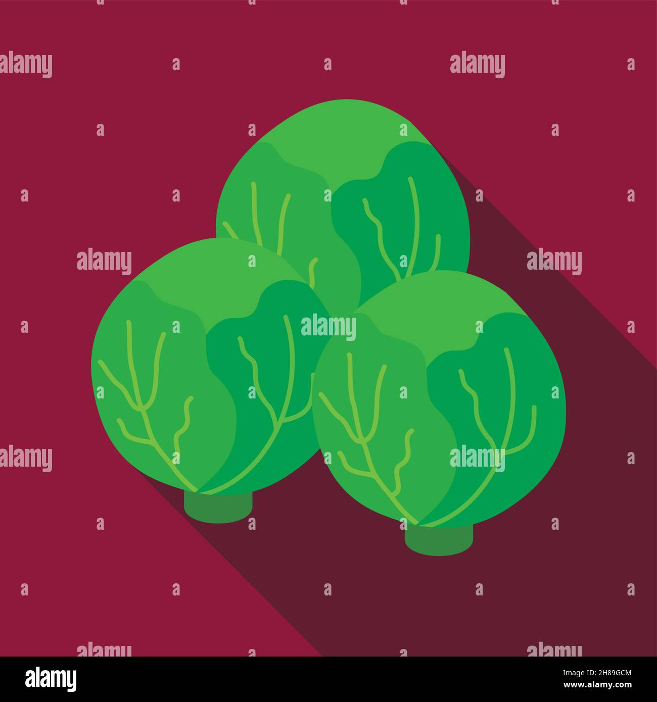 Brussels sprouts flat icon. Vegetable vector illustration Stock Vector Image & Art - Alamy