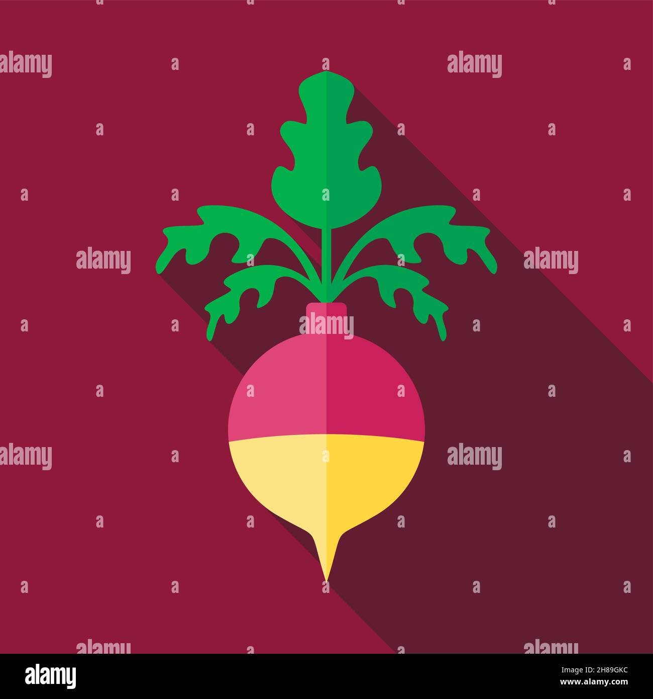 Rutabaga or Swede flat icon. Vegetable root vector illustration Stock ...