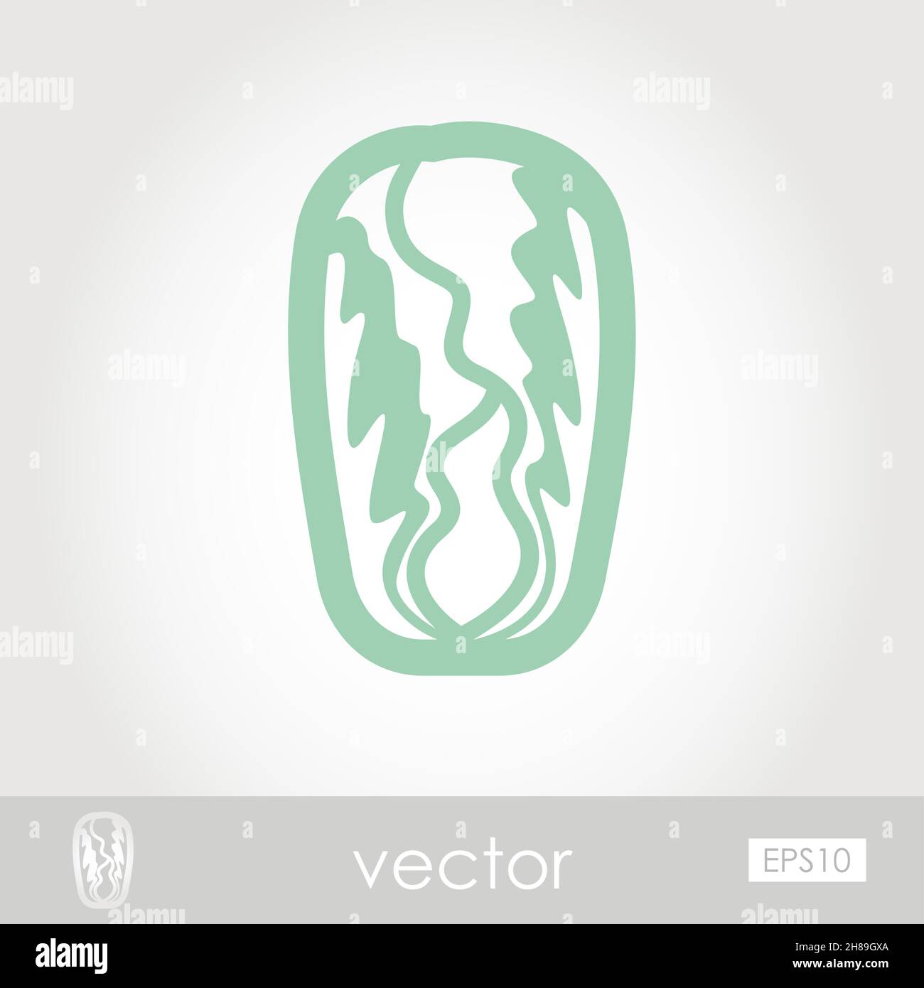 Chinese Cabbage outline icon. Vegetable vector illustration Stock ...
