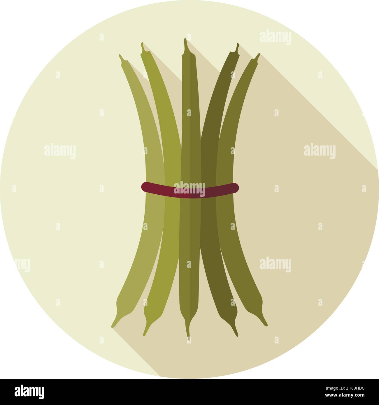 Green bean flat icon. Vegetable vector illustration Stock Vector Image ...