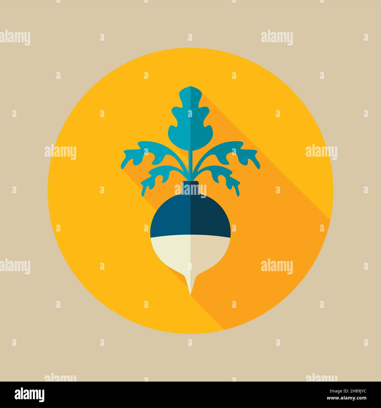 Rutabaga or Swede flat icon. Vegetable root vector illustration Stock ...