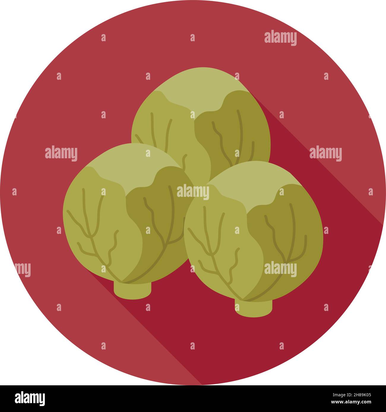 Brussels sprouts flat icon. Vegetable vector illustration Stock Vector Image & Art - Alamy