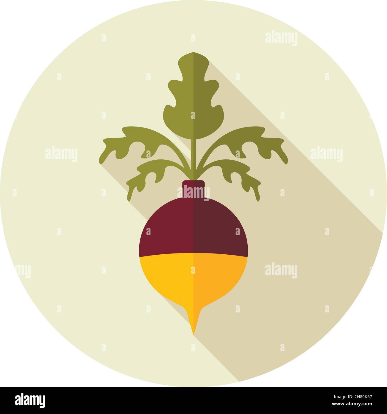 Rutabaga or Swede flat icon. Vegetable root vector illustration Stock ...