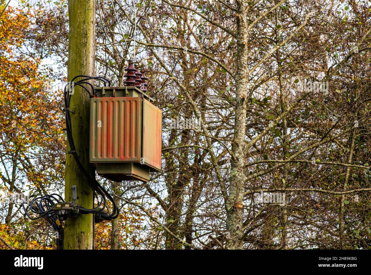 External transformer suspended on a wooden power bracket into electric ...