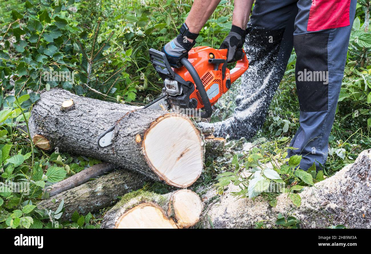 Cutting wood block with chainsaw hi-res stock photography and images ...