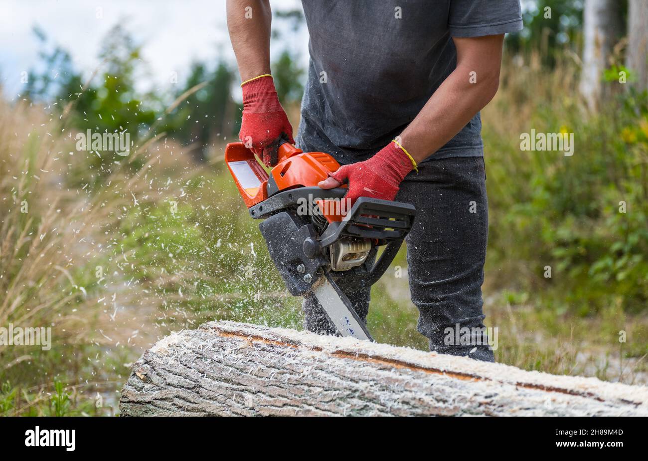 Chainsaw trunk and man and hobby hi-res stock photography and images ...