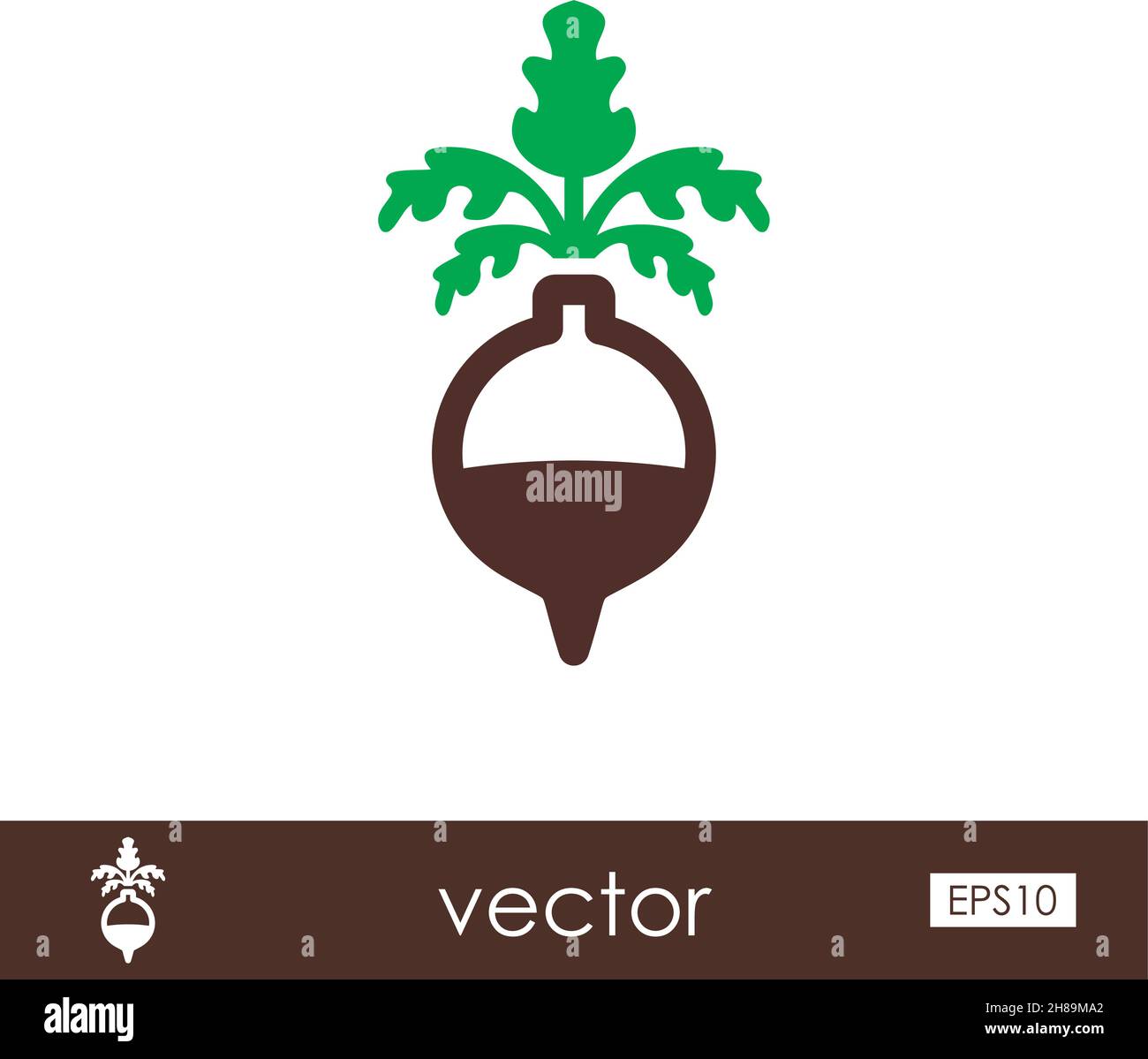 Rutabaga or Swede outline icon. Vegetable root vector illustration ...