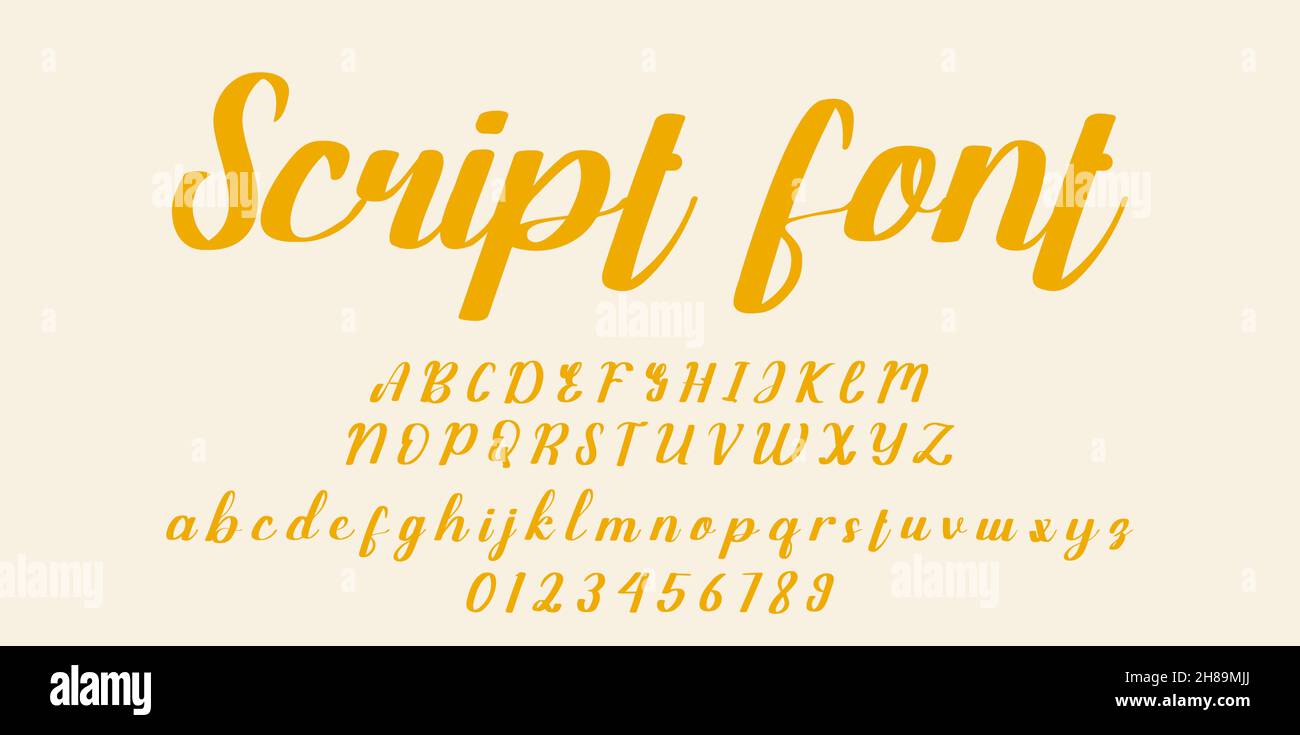 Handwritten script font. brush font vector illustration isolated ...