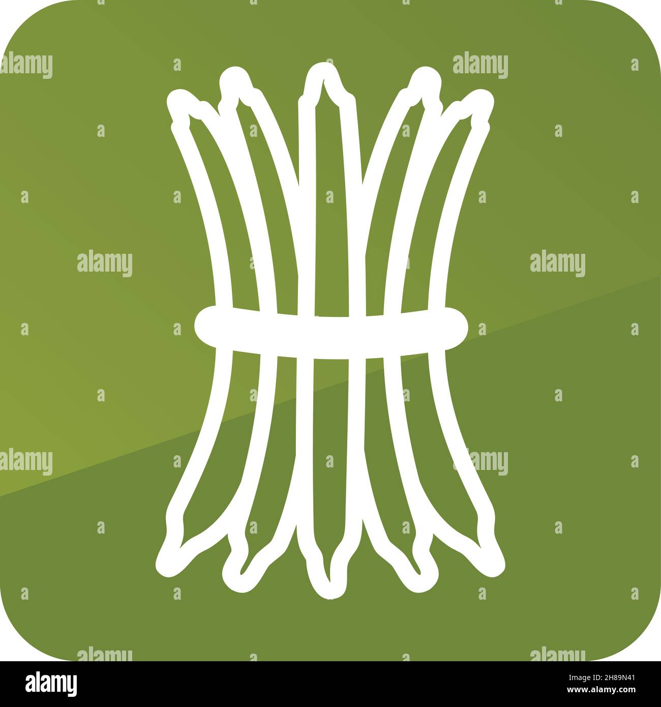 Green bean outline icon. Vegetable vector illustration Stock Vector ...
