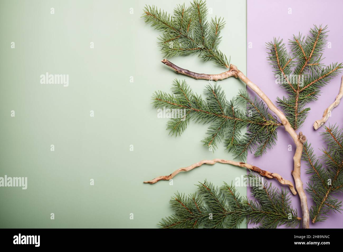 Christmas green framework background from pine tree branch and dry ...