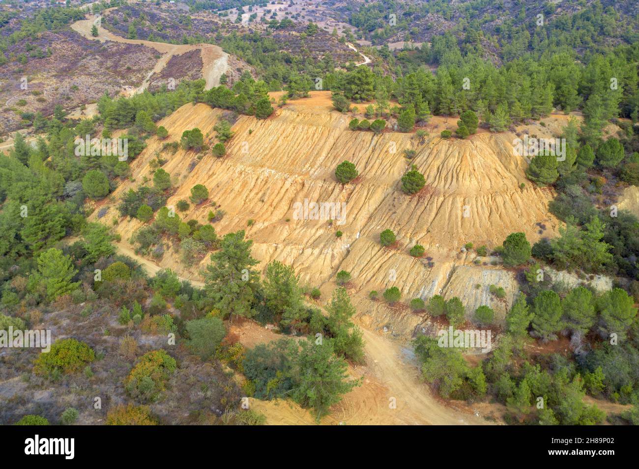 Restoration of former open pit Evloimeni copper mine, Cyprus. Forest ...