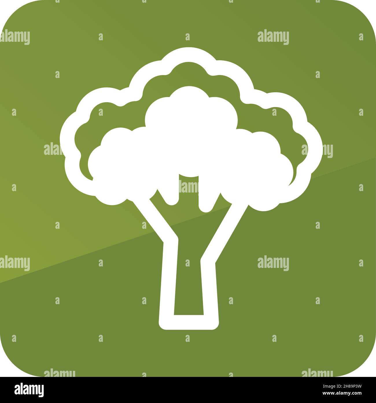 Broccoli outline icon. Vegetable vector illustration eps 10 Stock ...