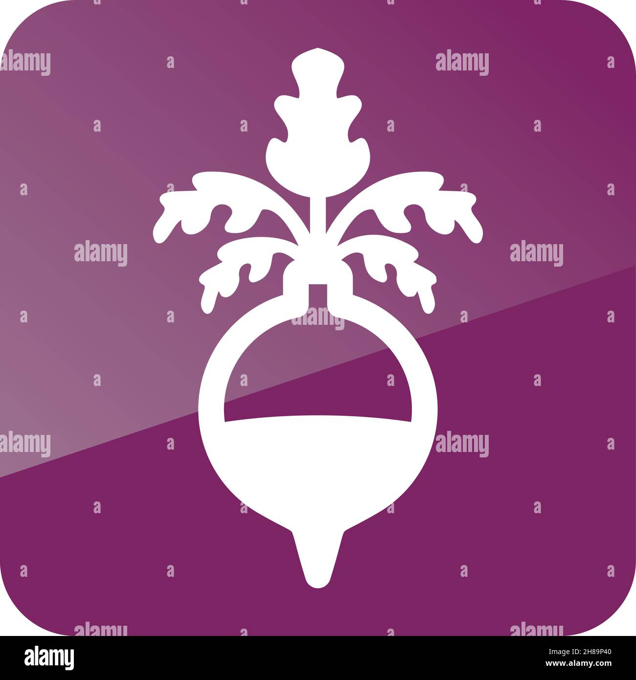 Rutabaga or Swede outline icon. Vegetable root vector illustration ...