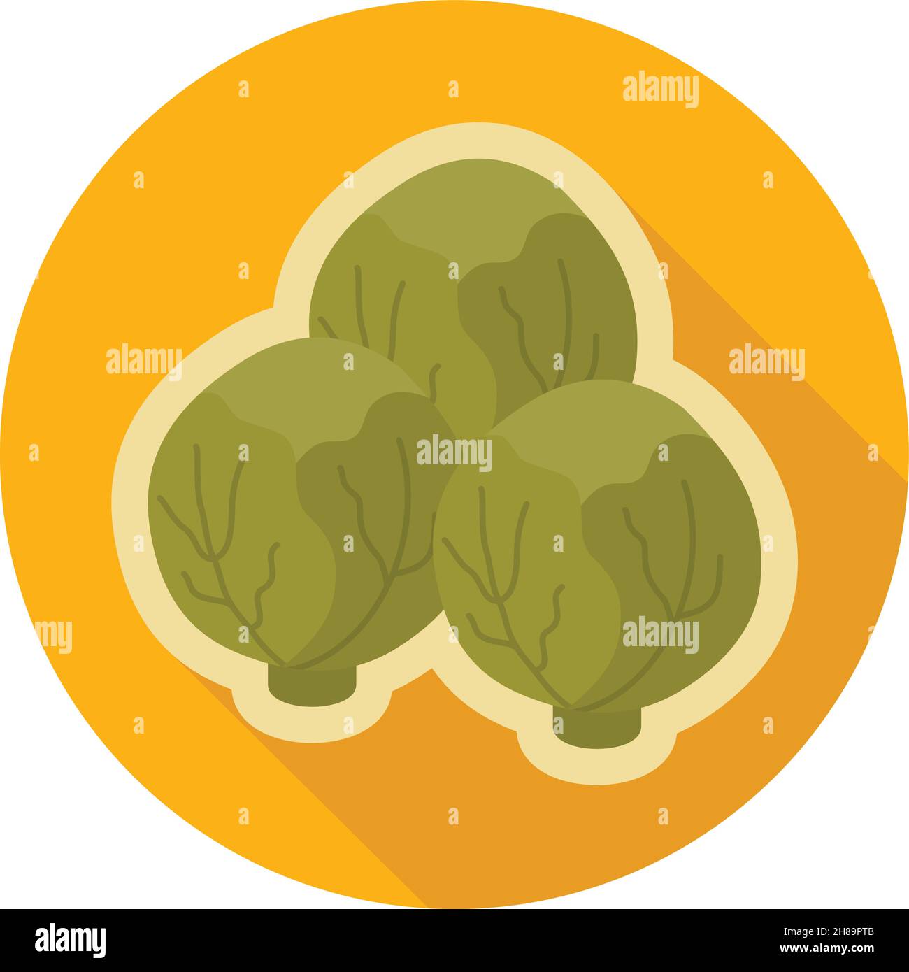 Brussels sprouts flat icon. Vegetable vector illustration Stock Vector Image & Art - Alamy