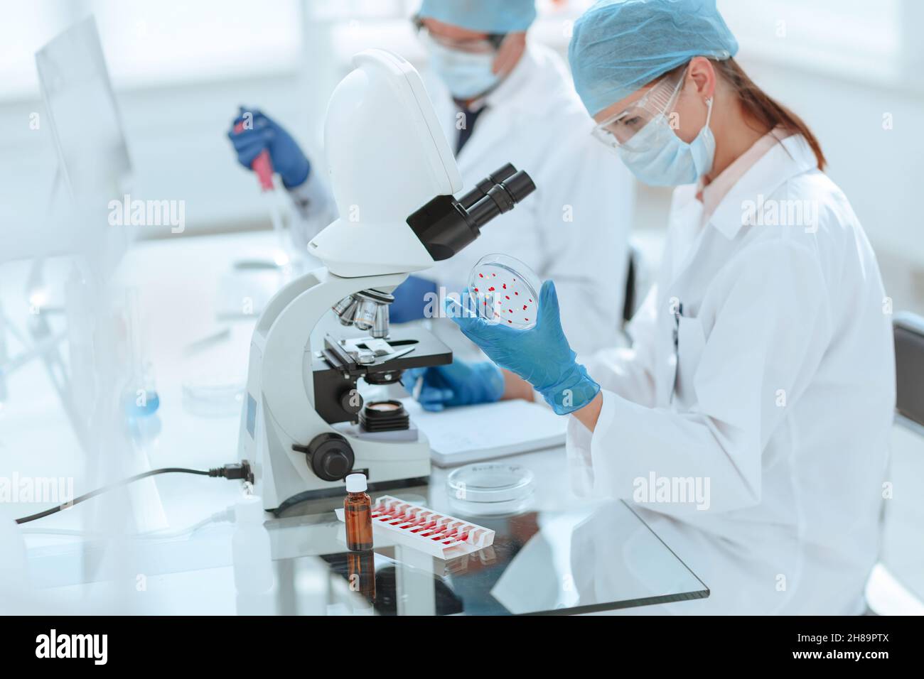 scientists investigating the development of bacteria in the laboratory ...
