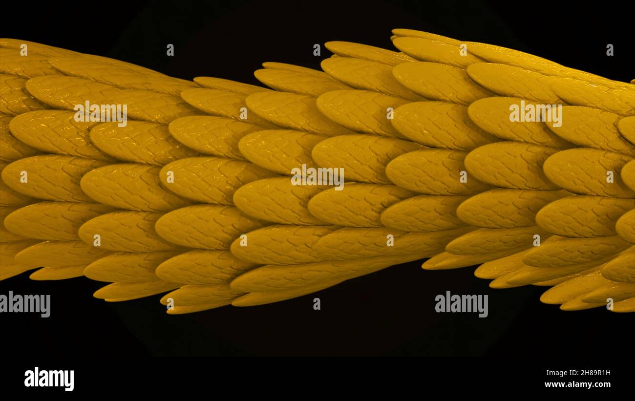 Abstract animation of multicolored 3d glossy snake or dragon scales ...