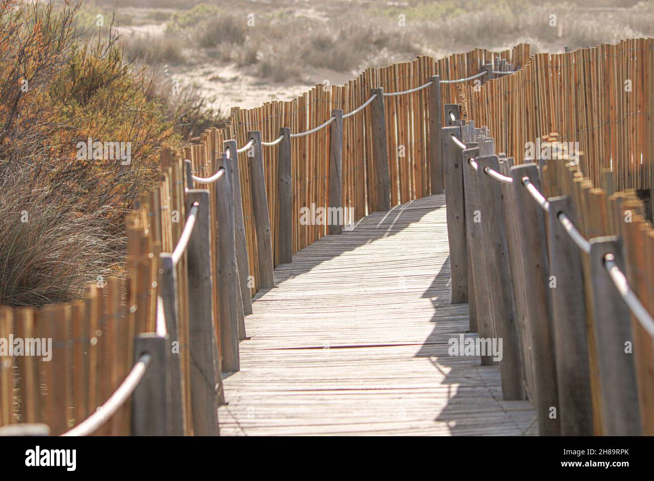 Sand dunes and boardwalk hi-res stock photography and images - Alamy