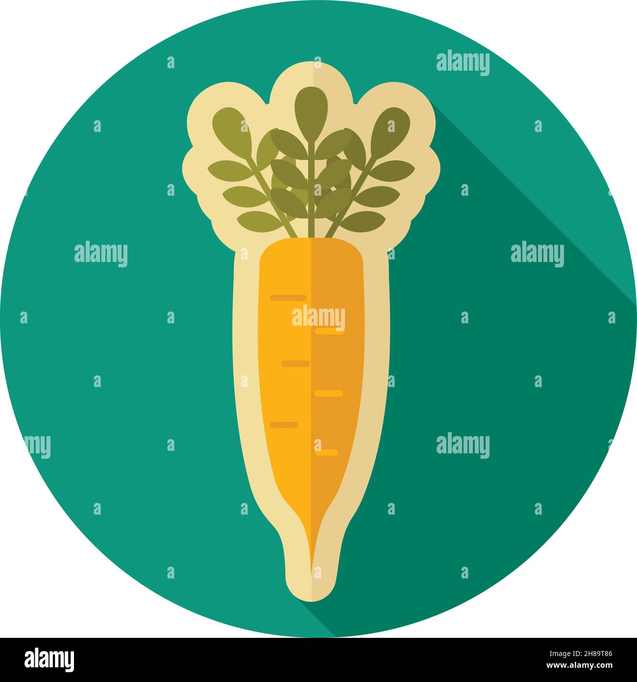 Daikon flat icon. Vegetable root vector illustration Stock Vector Image ...