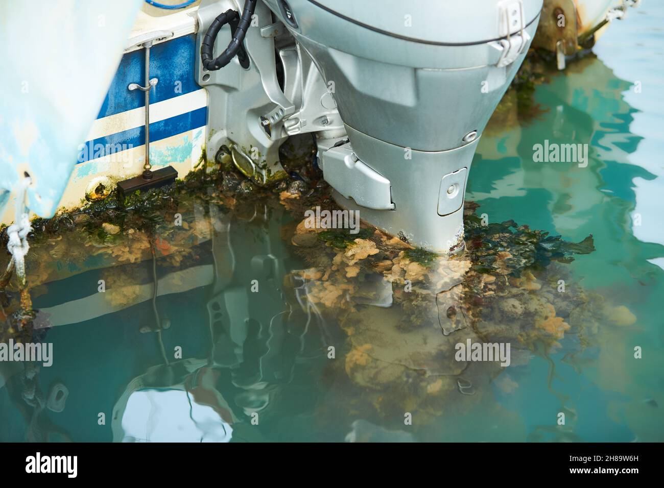 Molluscs, overgrown ship bottom. Shellfish on the hull of the ship ...