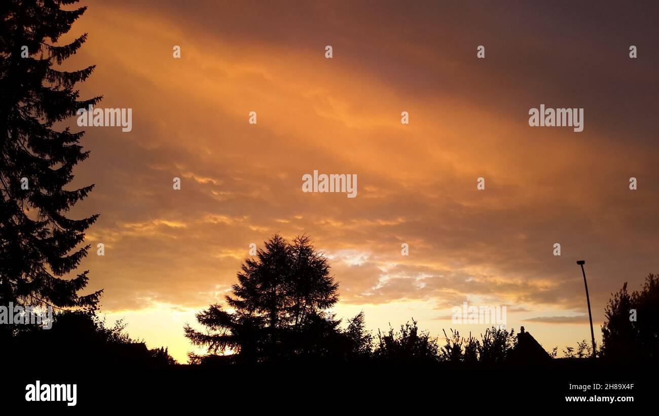 A beautiful sunset over the trees Stock Photo - Alamy
