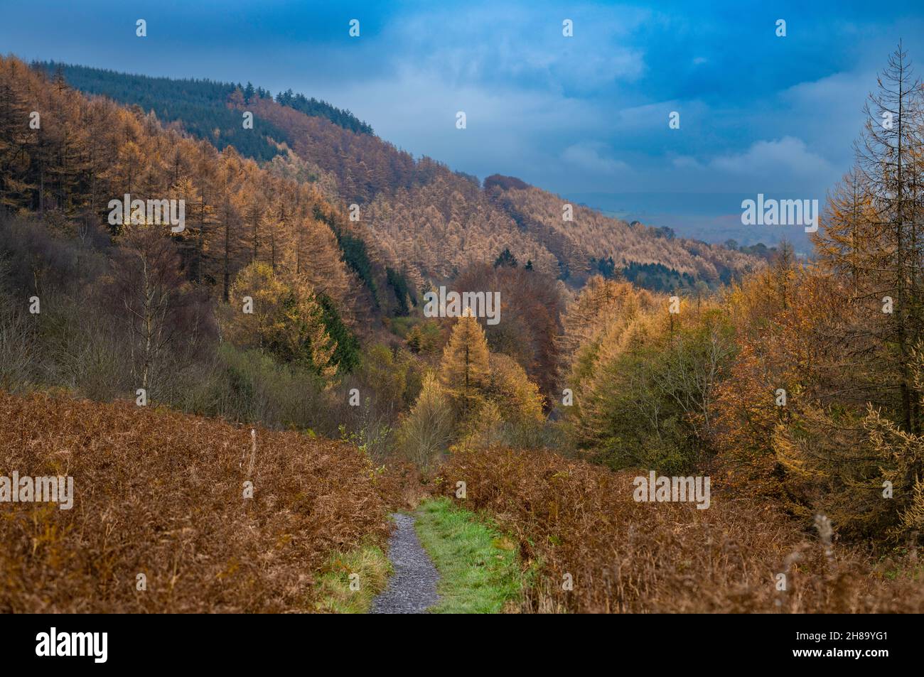 View from the top car park at Moel Famau. with autumn foliage Stock ...