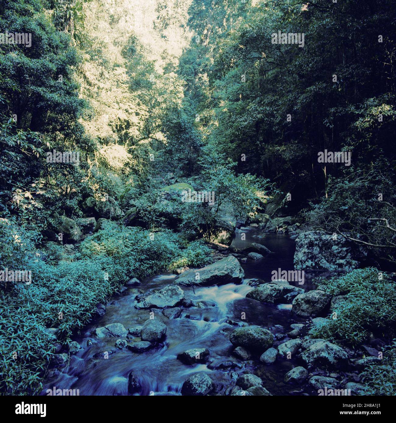 Purlingbrook falls hi-res stock photography and images - Alamy