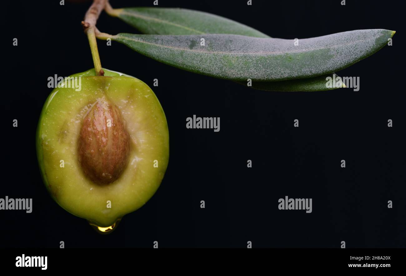 Olive leaf close up hi-res stock photography and images - Alamy