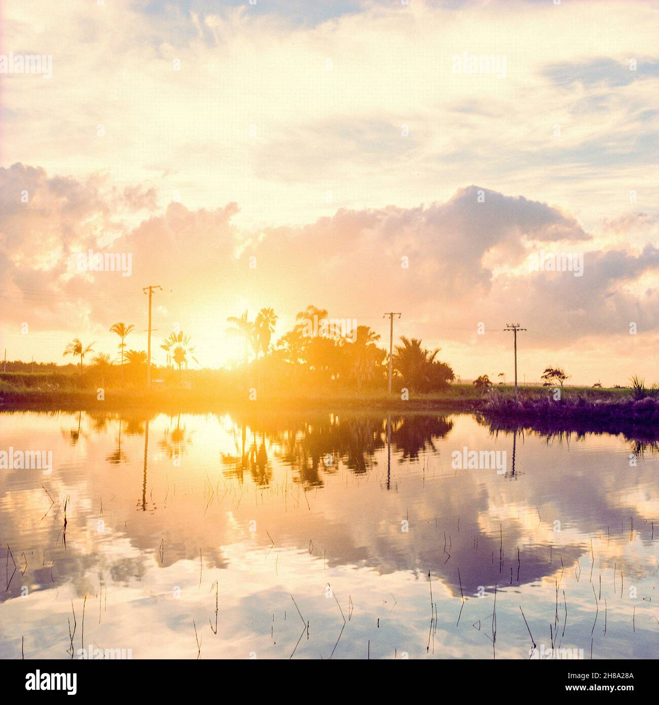 Sunrise over a lagoon, Woongoolba, Queensland, Australia Stock Photo ...